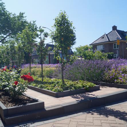 Voortuin ideeën, Inspiratie voortuin, Voortuin idee